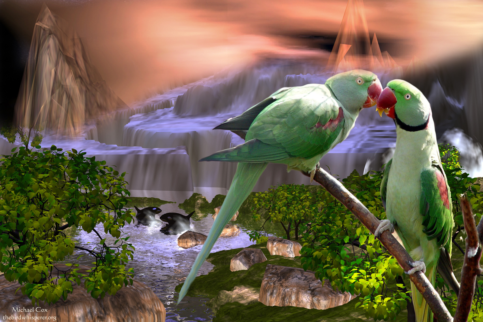 Bird Whisperer Michael Cox-Bird Taming from Global Nest Exotic Bird ...